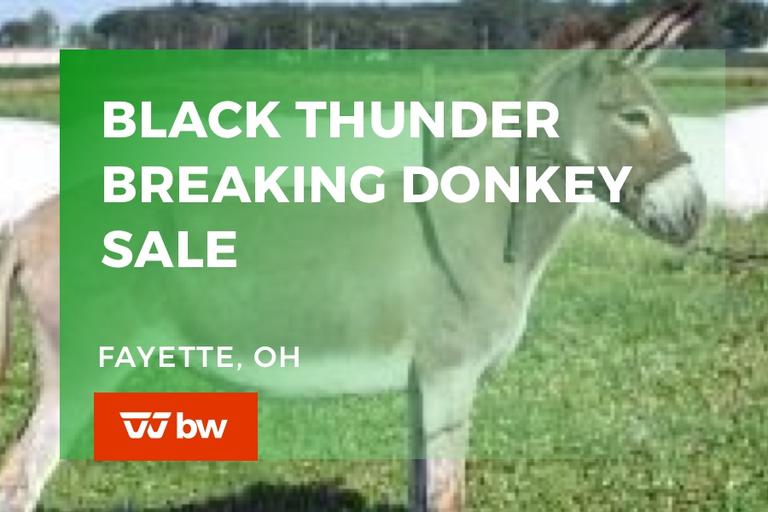 Breeders World | Past Auctions