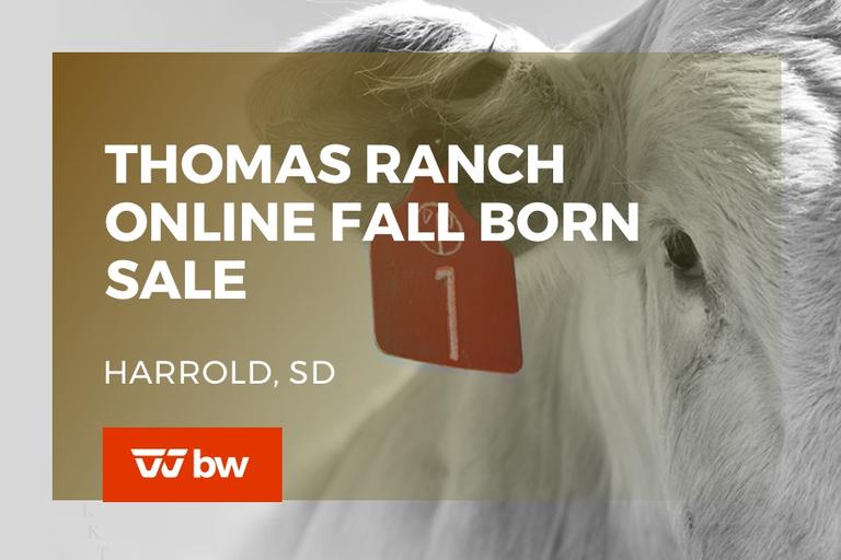 Breeders World | Home