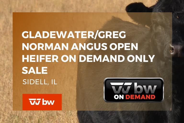 Breeders World | Home